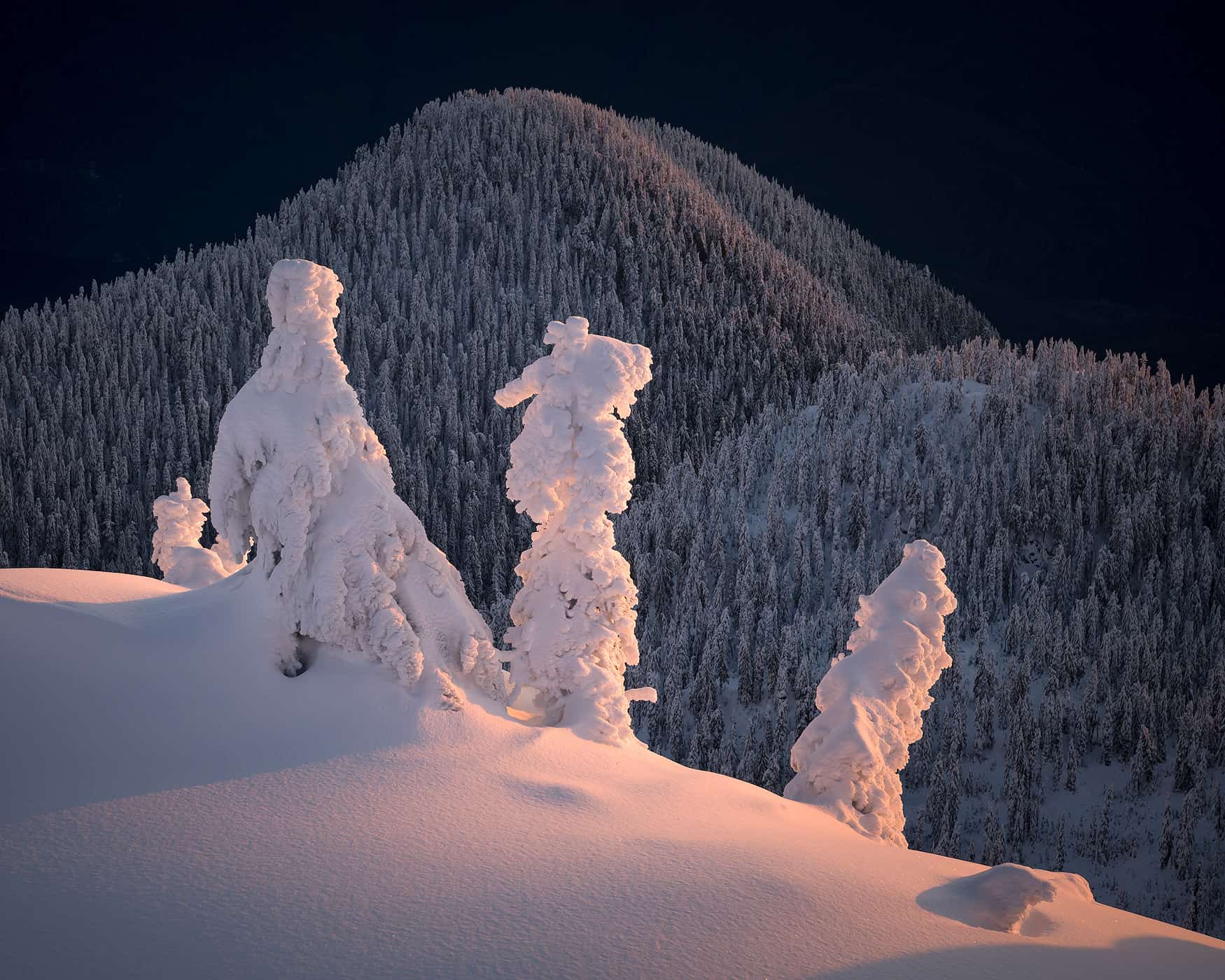Série de conférences de la CAPA - Association canadienne pour l'art ...