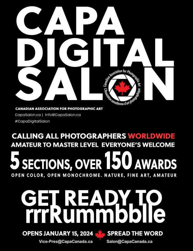 CAPA Digital Salon 2024 Announced - Canadian Association for ...