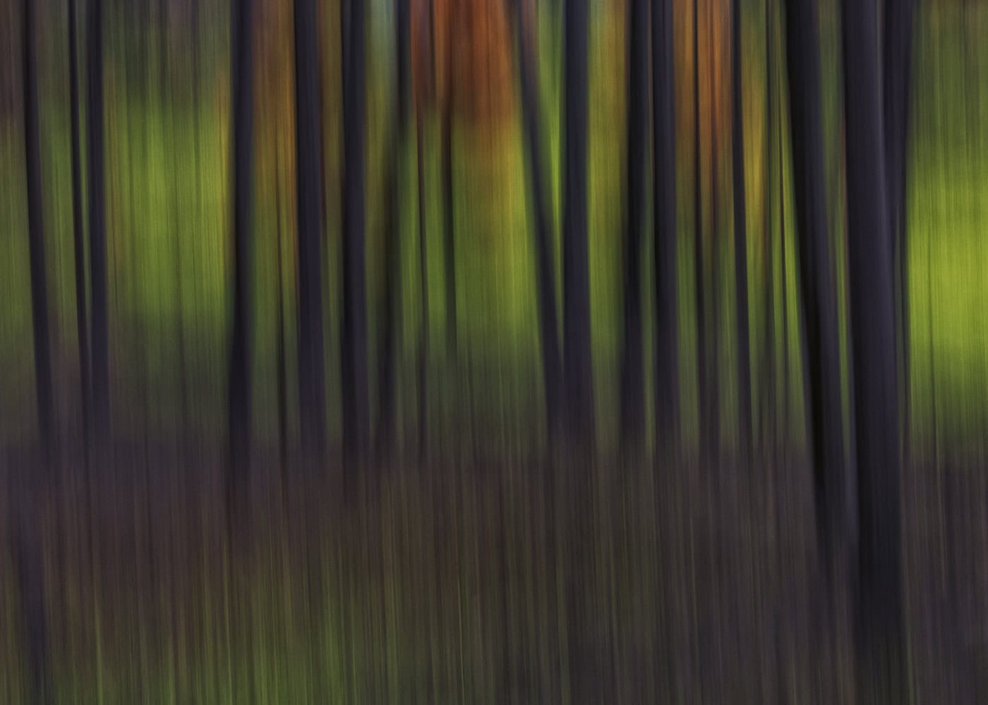 Creative Intent - Motion without motion - Canadian Association for ...